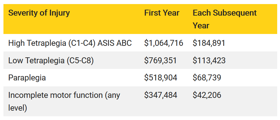 Understanding Spinal Cord Injury Sci Classifications Cyclone Mobility